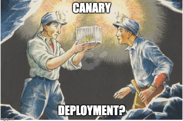 Canary Deployments: Testing the Waters for a Safer Future – Scalable ...